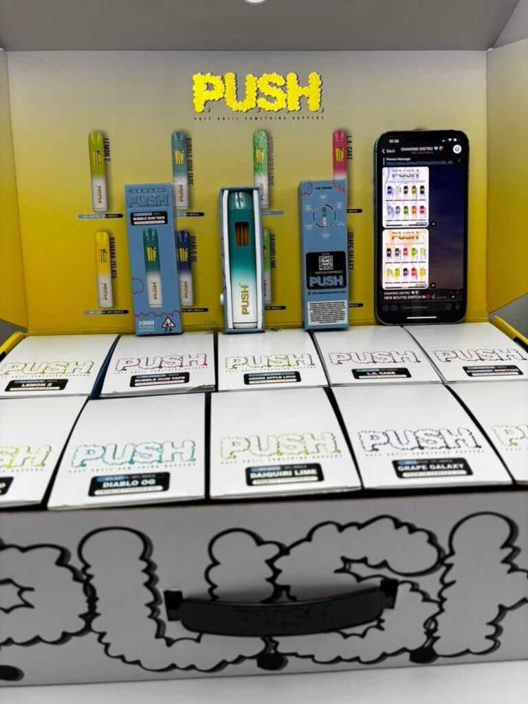 push disposable 2 gram - kreamdisposable.com